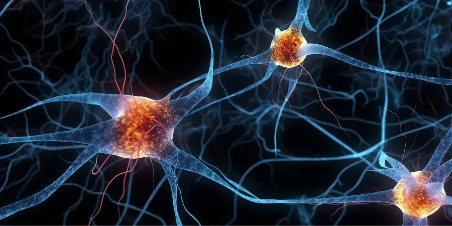 What Is Cellular Inflammation? – ecoNugenics